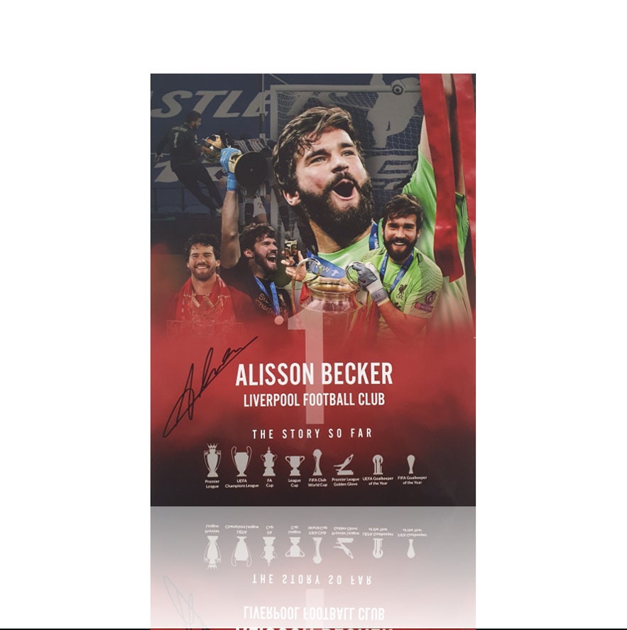 Alisson Becker Hand Signed 12 X 16 Montage in Classic Frame - Etsy