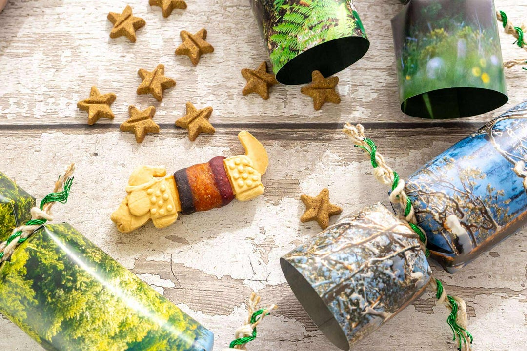 Dog Christmas Crackers - Etsy UK