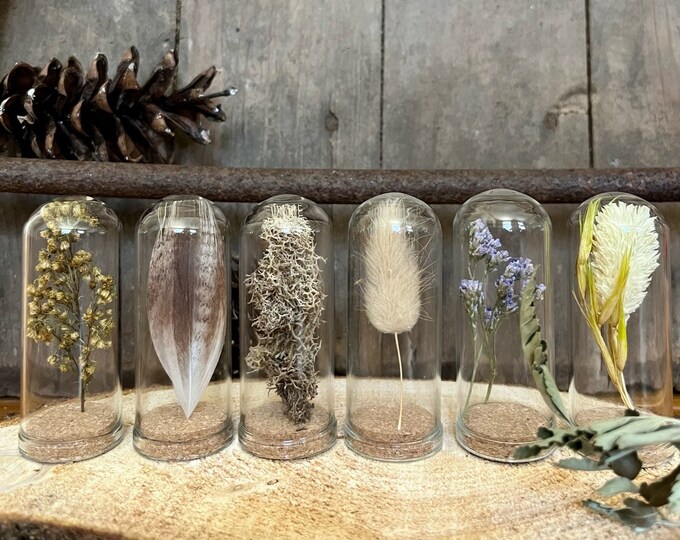 Curio Collection mystery Box Set of 3 green Academia Home - Etsy