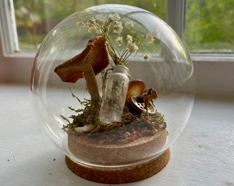 Cicada Shell Curiosity Glass Globe Dome antique and Vintage Inspired ...