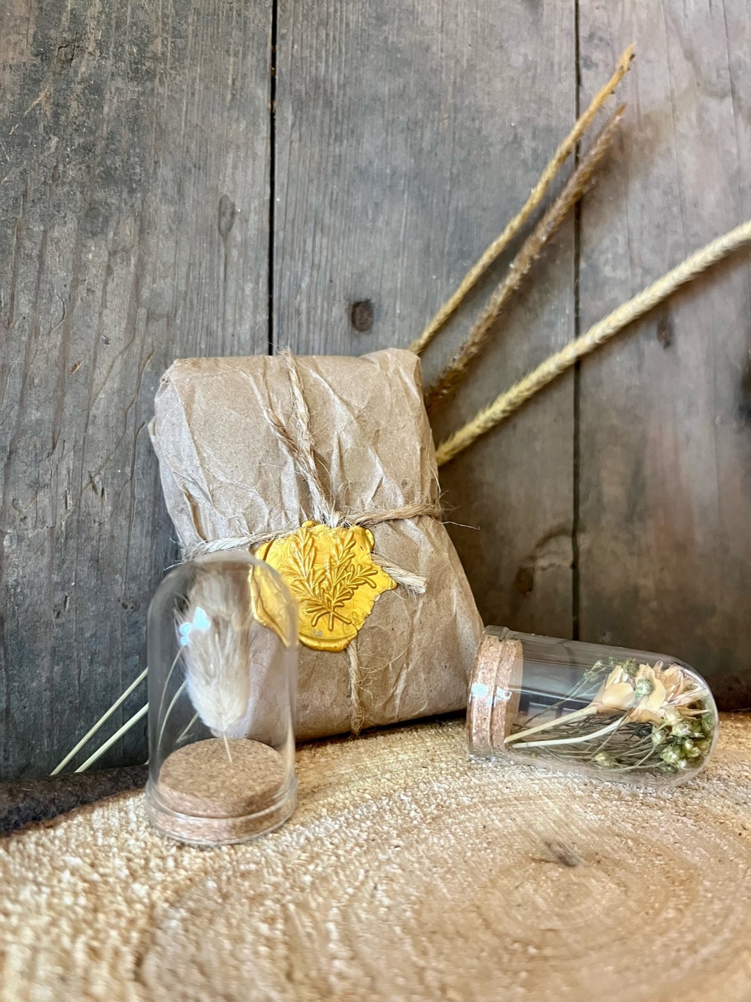 Curio Collection mini Harvest Series mystery Box Set of 3 - Etsy