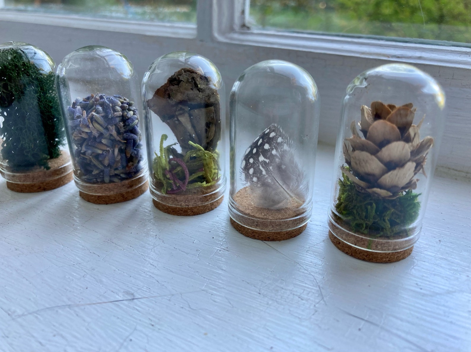 Curio Collection mini Series mystery Box Set of 3 green - Etsy