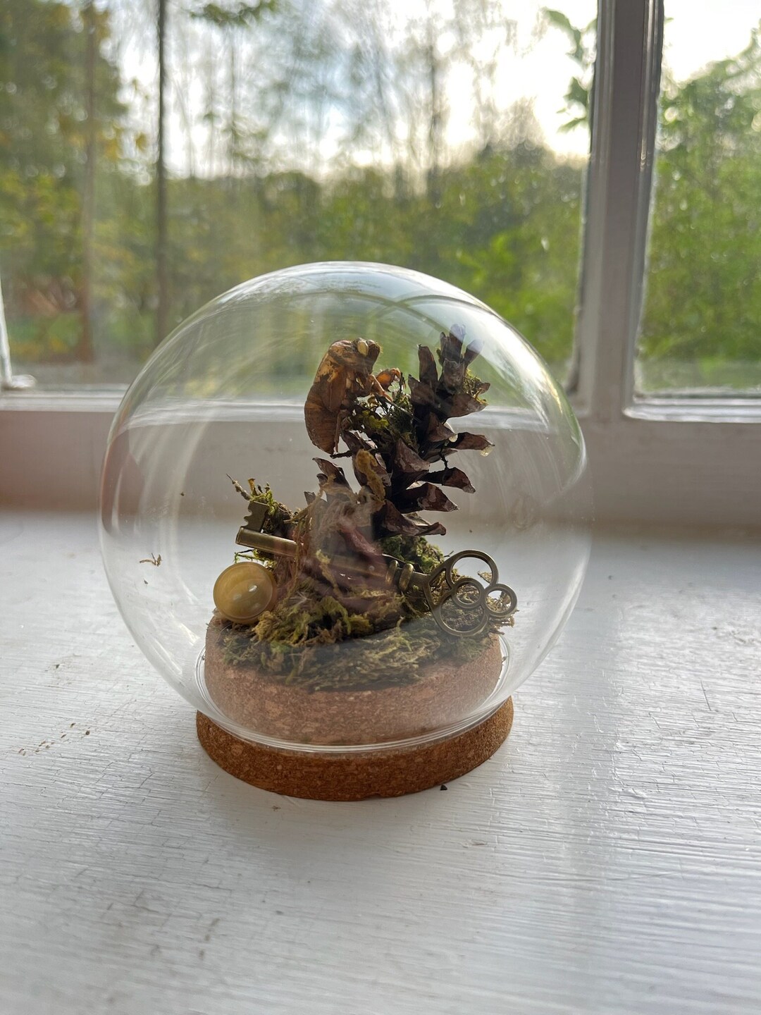Cicada Shell Curiosity Glass Globe Dome antique and Vintage Inspired ...