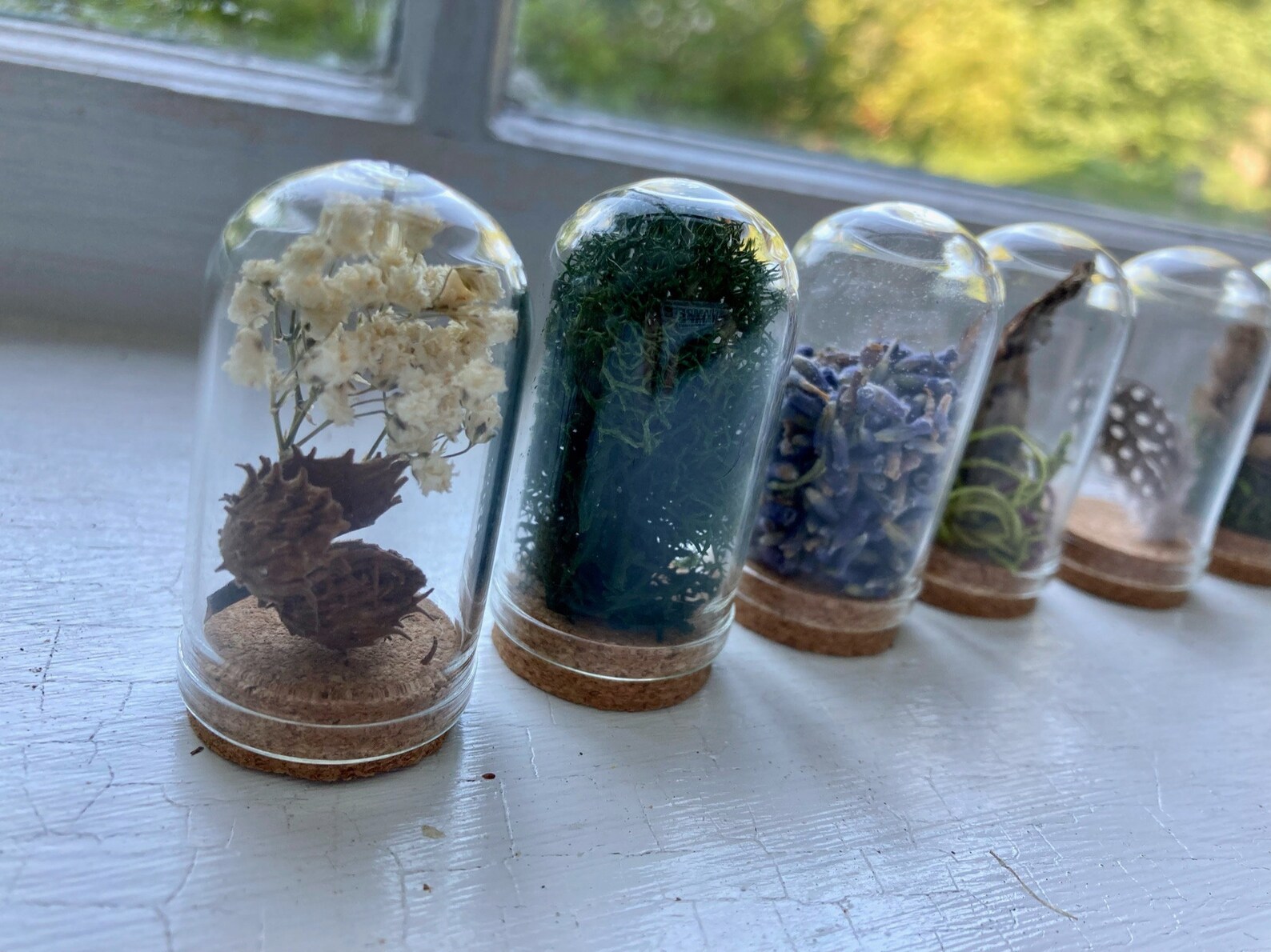 Curio Collection mini Series mystery Box Set of 3 green - Etsy