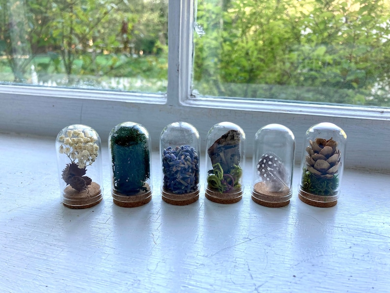 Curio Collection mini Series mystery Box Set of 3 green - Etsy