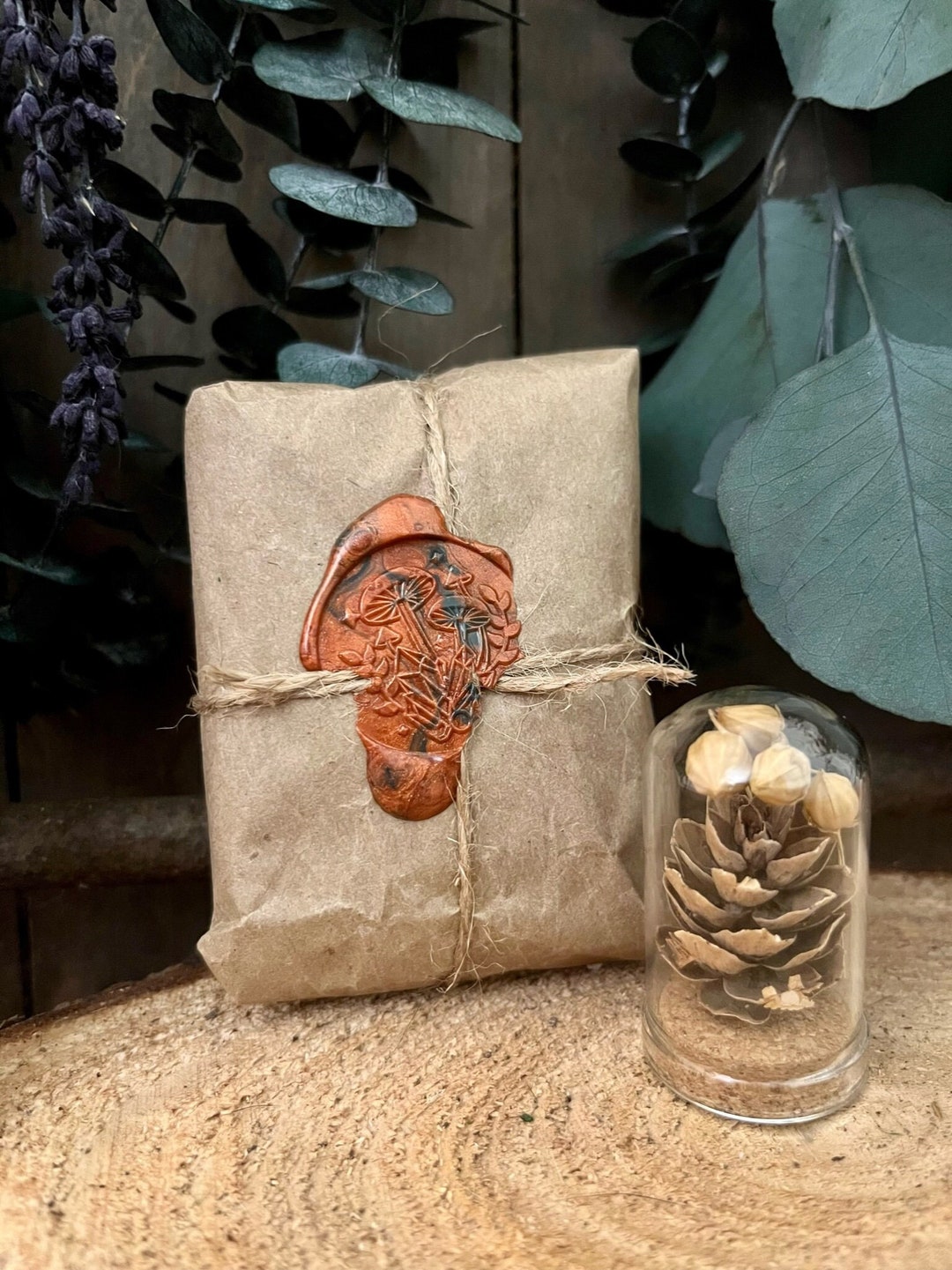 Curio Collection mini Series mystery Box Set of 3 green - Etsy