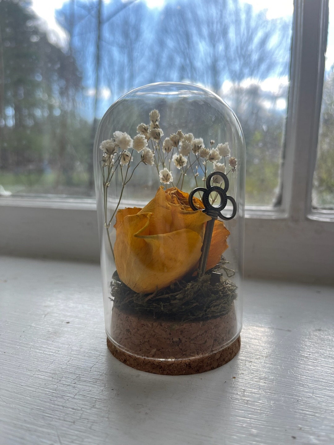 Preserved Yellow Rose Curiosity Glass Dome antique and Vintage Inspired ...