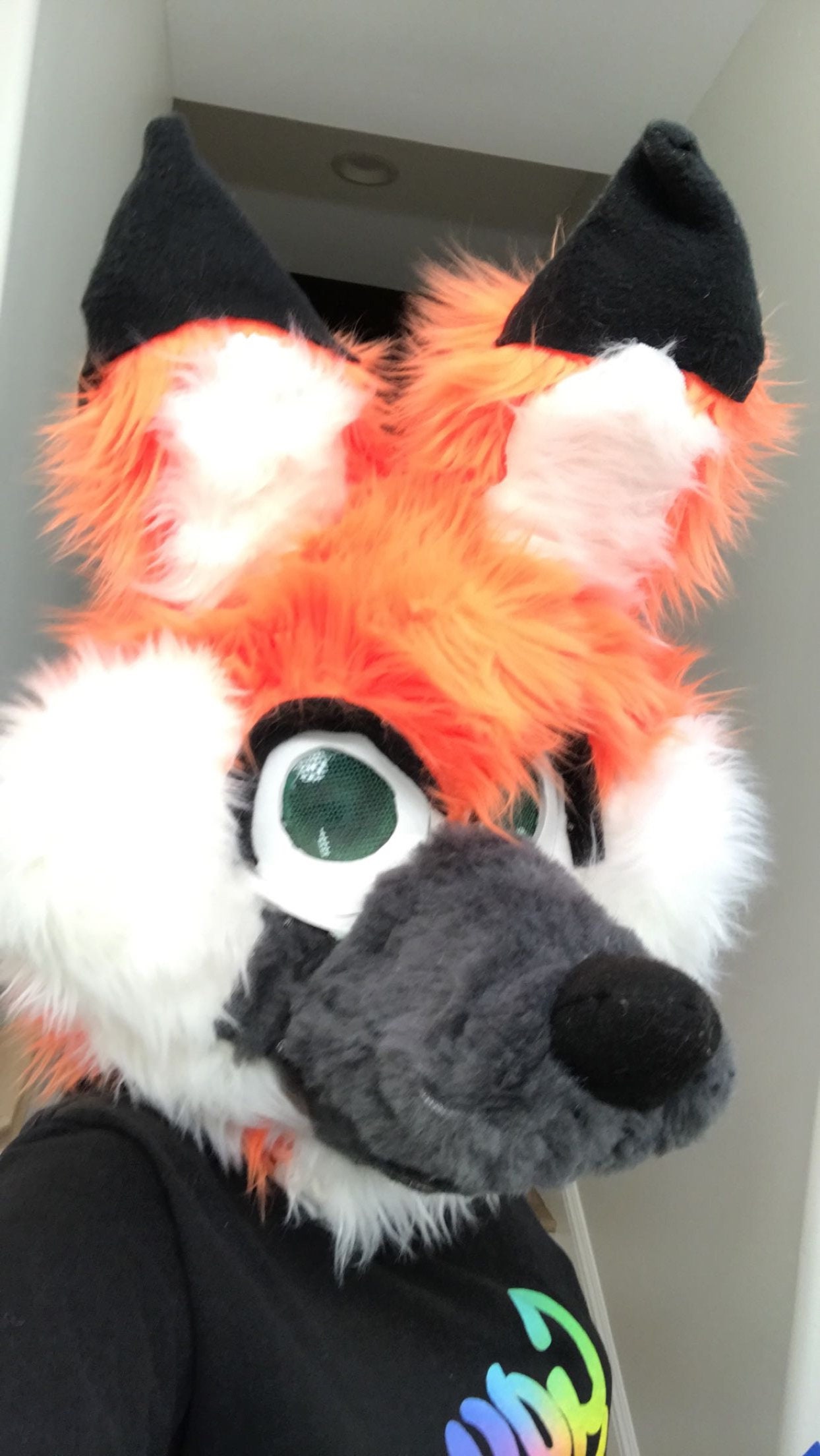 CHEAP FURSUIT Partial Head Only lq Visible Foam - Etsy