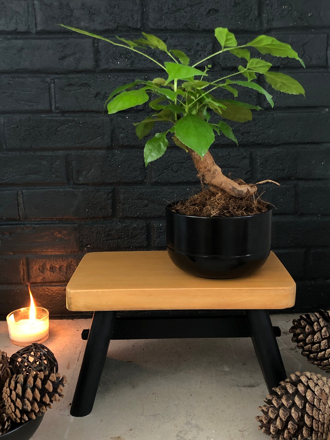 Authentic Vintage Hinoki Japanese Stool. Plant Stand Tv Stand. TV Stand ...