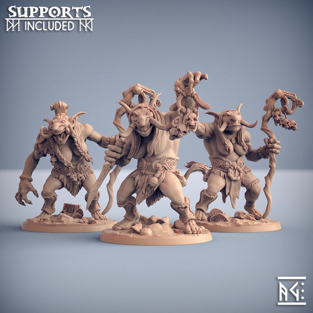 Troll Hag Miniatures - Artisan Guild | Shaman Models | Dungeons and ...
