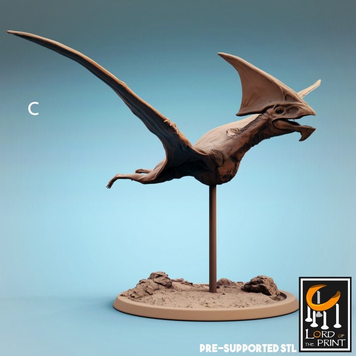 Pterosaur Models Lord of the Print Tupandactylus Dinosaur - Etsy UK