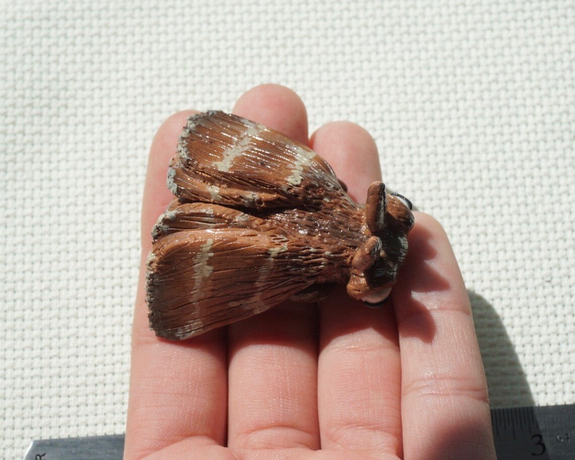 Moth Figurine- Bug Collection- Unique Polymer Clay Figurine - Etsy