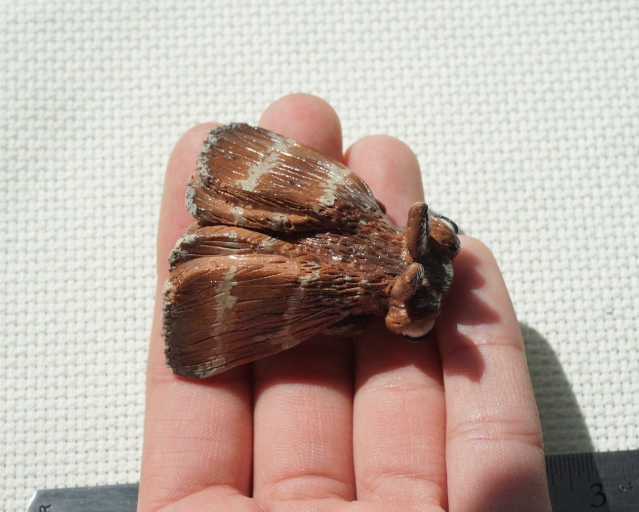 Moth Figurine- Bug Collection- Unique Polymer Clay Figurine - Etsy