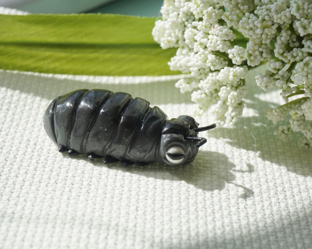 Rollo-polli /pillbug Figurine- Bug Collection- Unique Polymer Clay ...