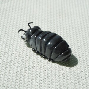 Rollo-polli /pillbug Figurine- Bug Collection- Unique Polymer Clay ...