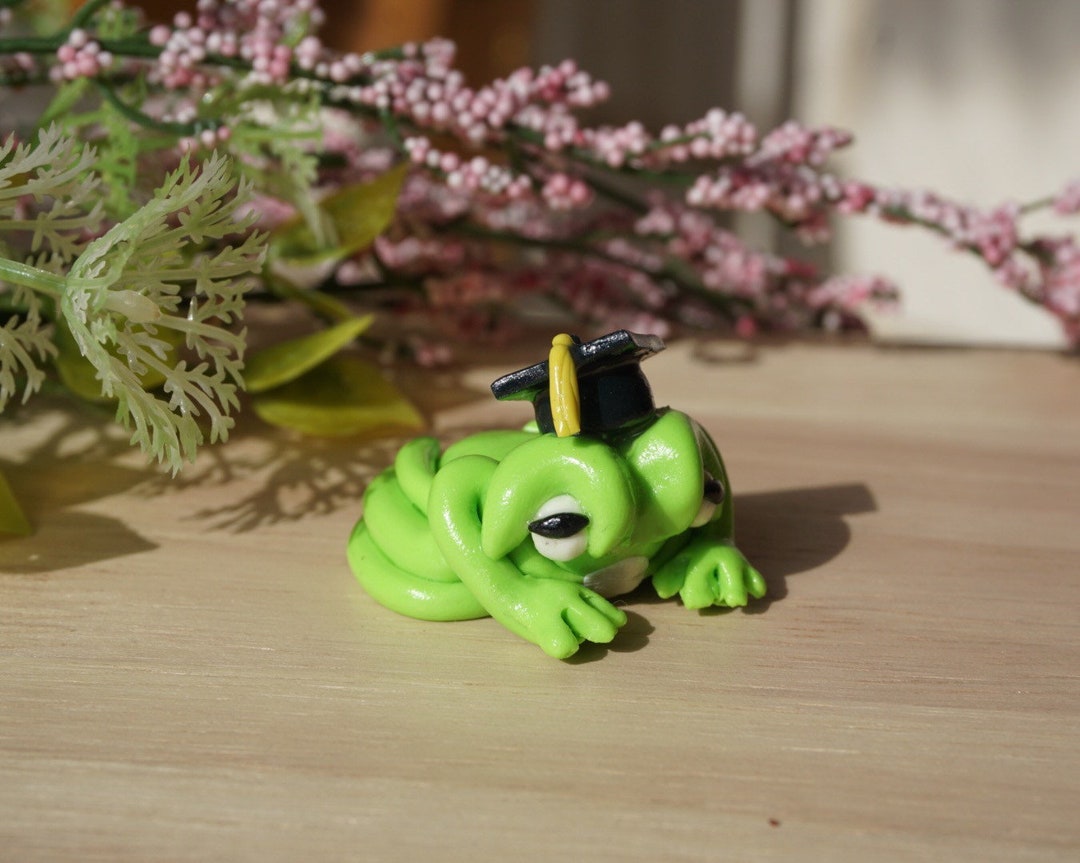 Graduation Frog Figurine- Handmade Polymer Clay Figurine/decoration ...