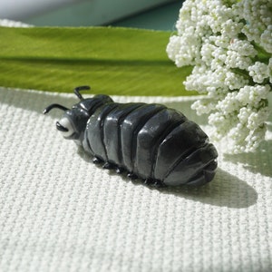 Rollo-polli /pillbug Figurine- Bug Collection- Unique Polymer Clay ...