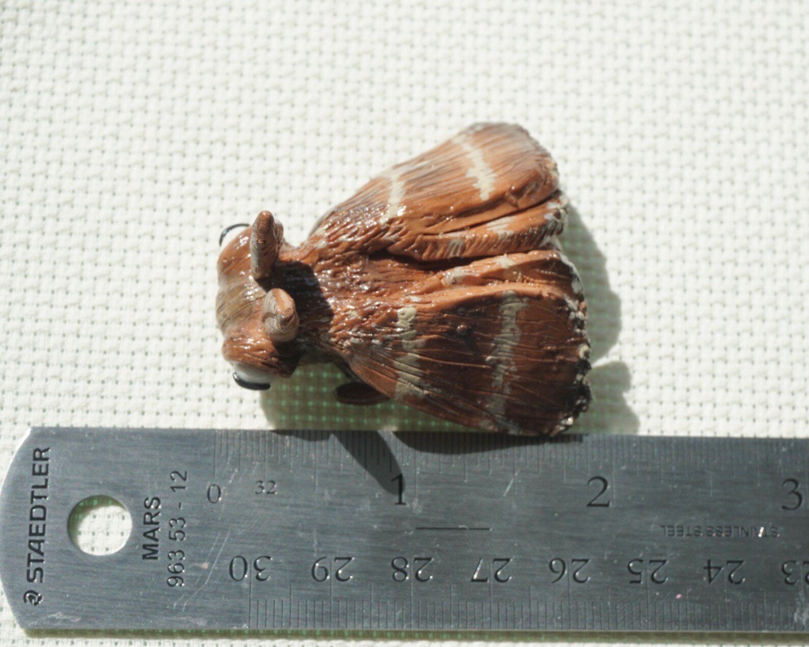 Moth Figurine- Bug Collection- Unique Polymer Clay Figurine - Etsy