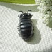 Rollo-polli /pillbug Figurine- Bug Collection- Unique Polymer Clay ...