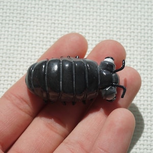 Rollo-polli /pillbug Figurine- Bug Collection- Unique Polymer Clay ...