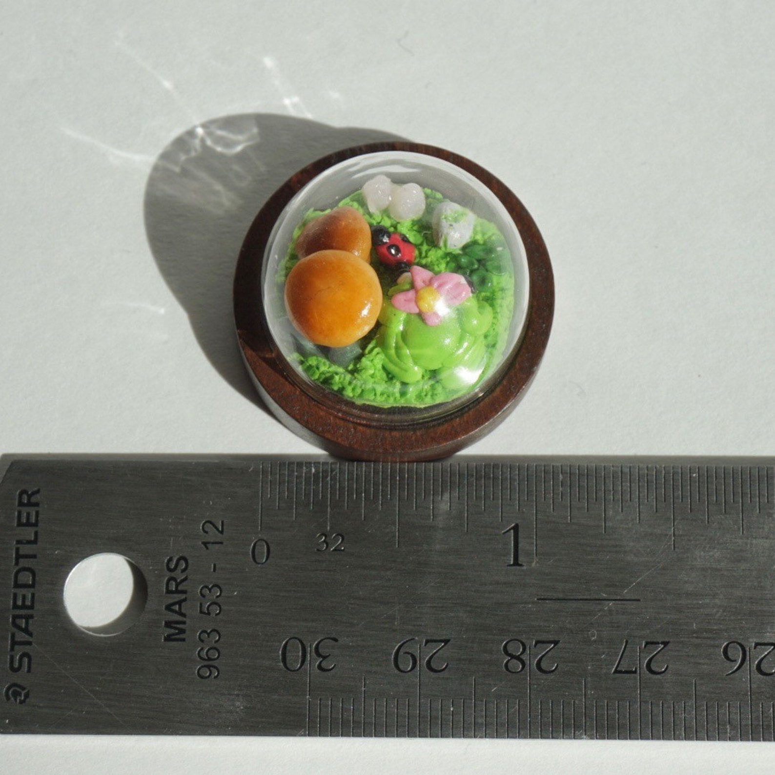 Tiny Frog Terrarium Handmade Polymer Clay | Etsy