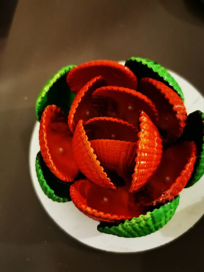 This is a Flower Made From Original Cockle Shells. Everlasting ...