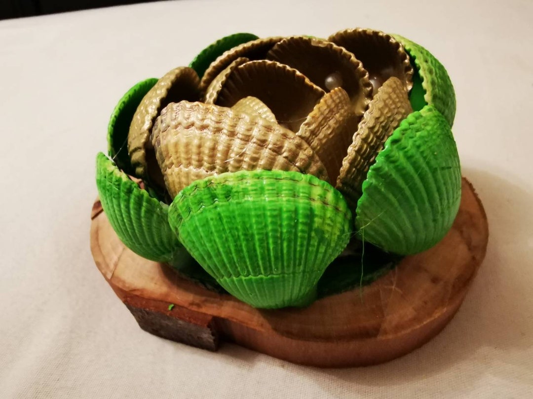 Hand Made Cockle Shell Flowers, Sitting on Cherry Wood. - Etsy