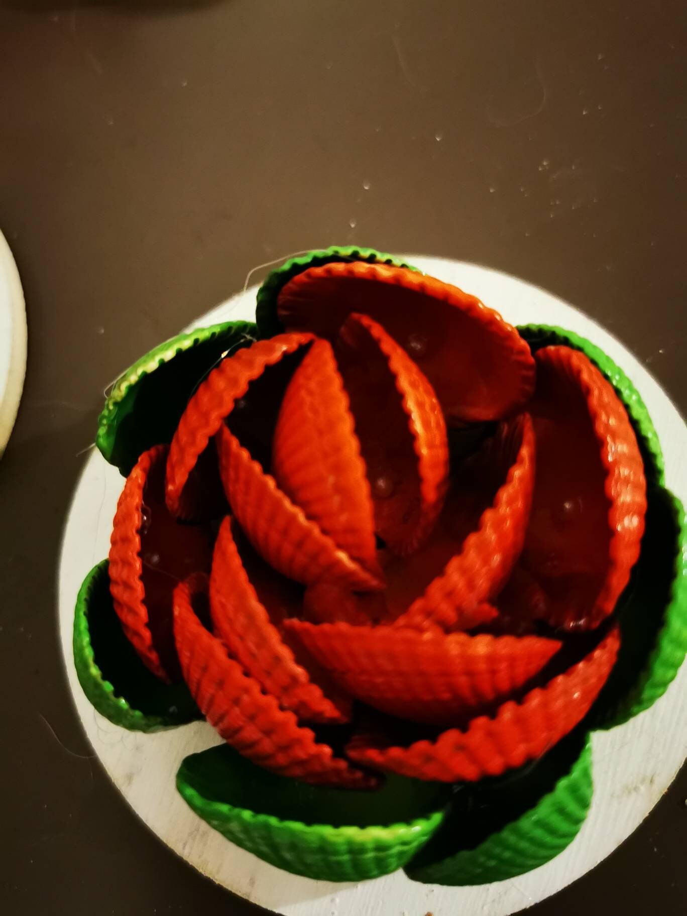 This is a Flower Made From Original Cockle Shells. Everlasting ...