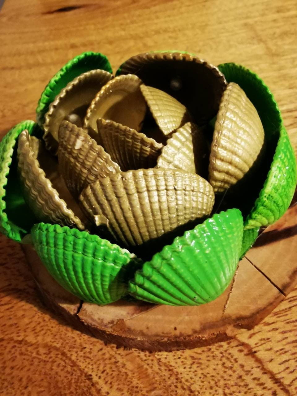 Hand Made Cockle Shell Flowers, Sitting on Cherry Wood. - Etsy