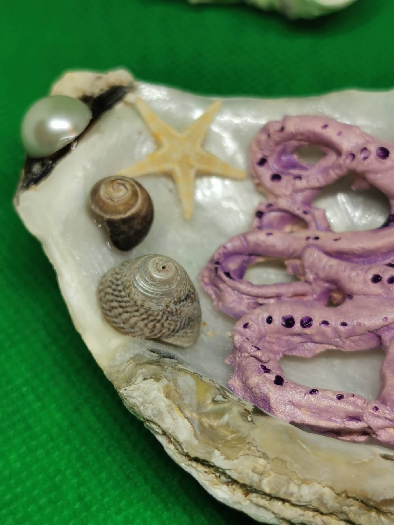 Decorated Oyster Shell. Using Hand Painted Octopus. - Etsy Denmark