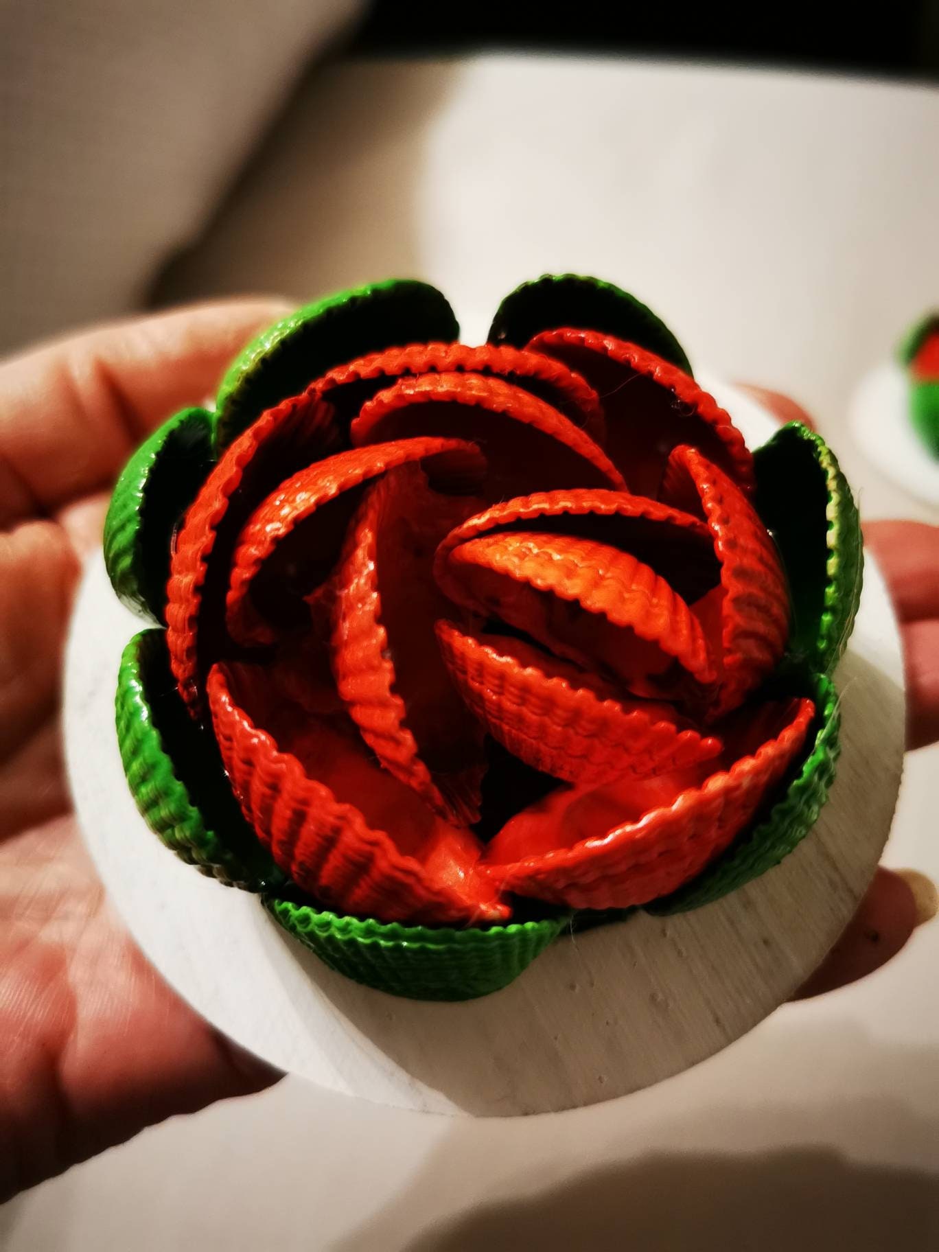 This is a Flower Made From Original Cockle Shells. Everlasting ...