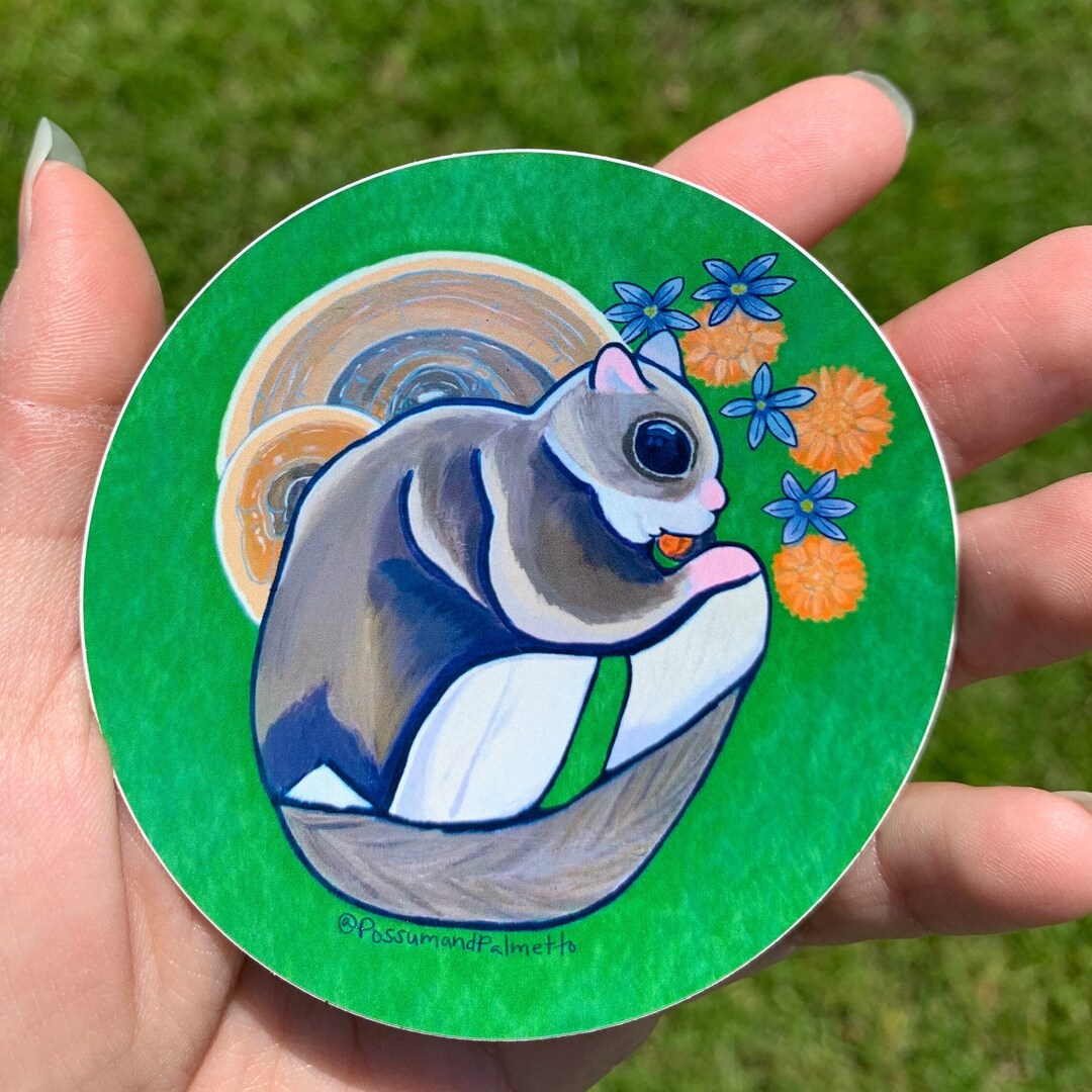 Southern Flying Squirrel Sticker | Flying Squirrel Wildflowers Critters ...