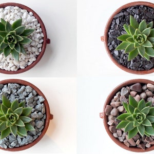 Decorative Stones. Pebbles & Chippings. Marble, Pot Topper, Succulents ...