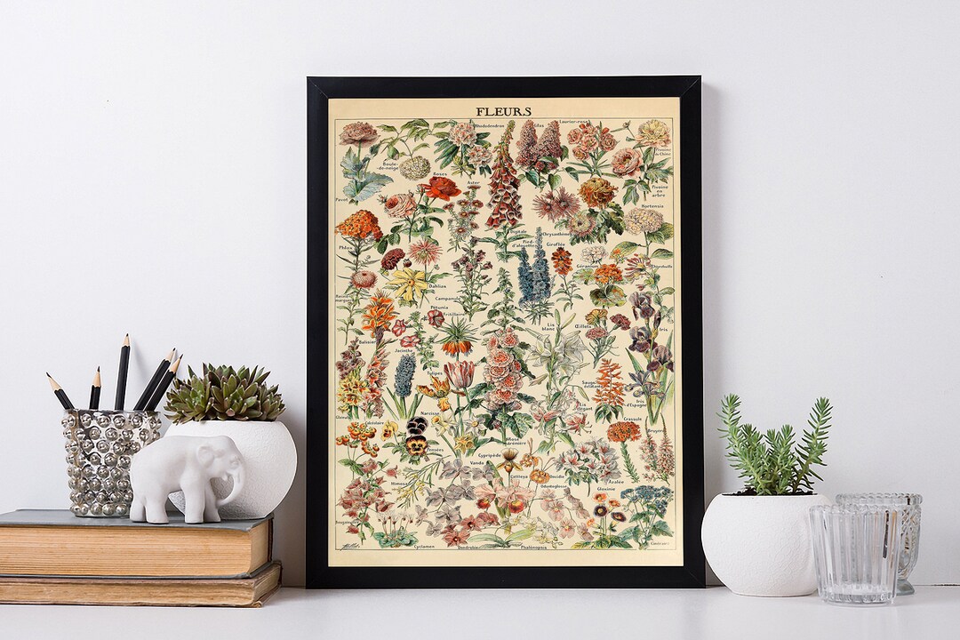 Flowers Chart| Flowers Diagram|. Kitchen Poster. Botanic Wall Poster ...