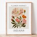 Indiana State Flower Print, Indiana Flower Market Print, Peony Art ...