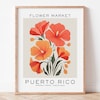 Puerto Rico National Flower, Flower Market Art Print, Flor De Maga 1960 ...