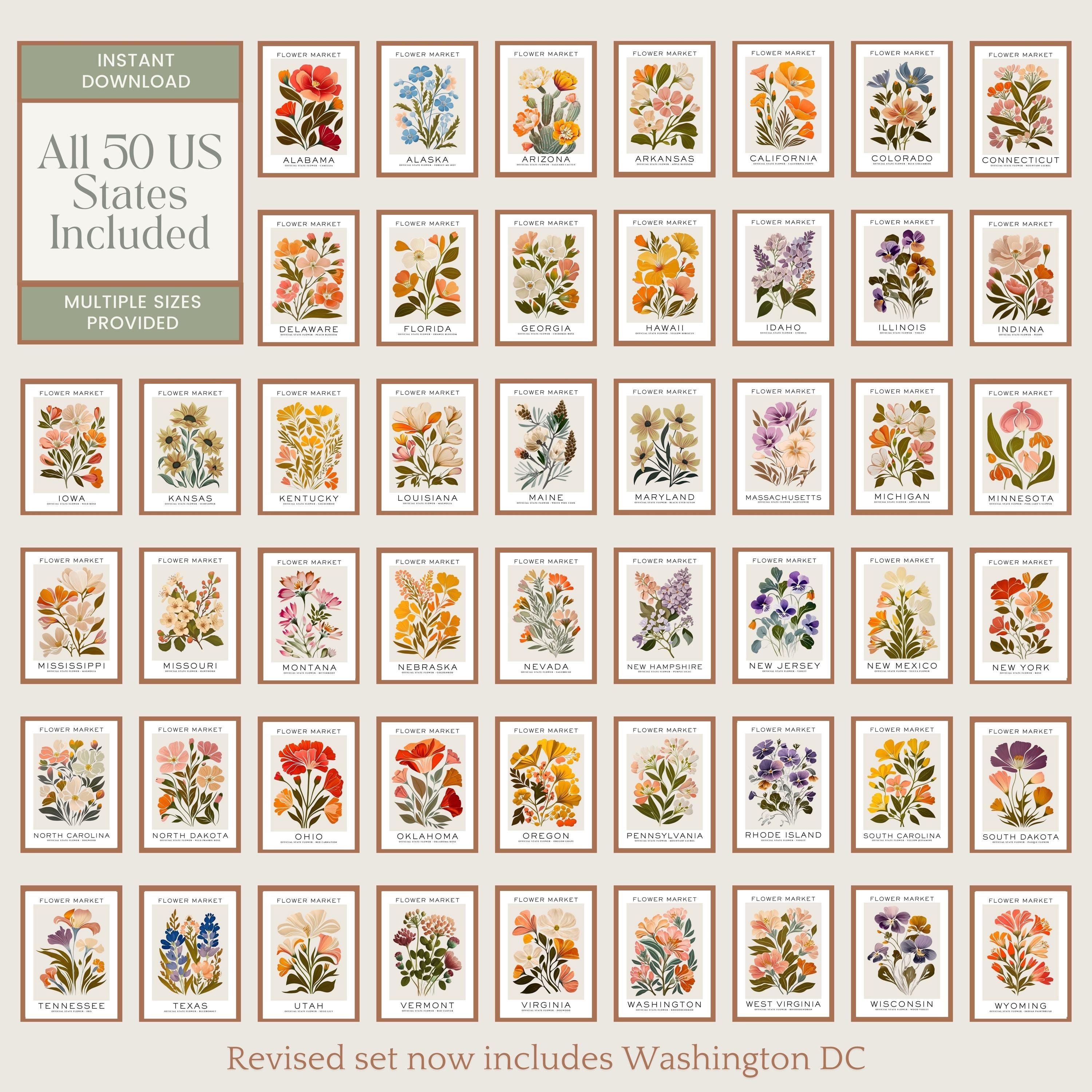 State Flower Print Bundle, Wall Art Print 50 US States, Flower Market ...