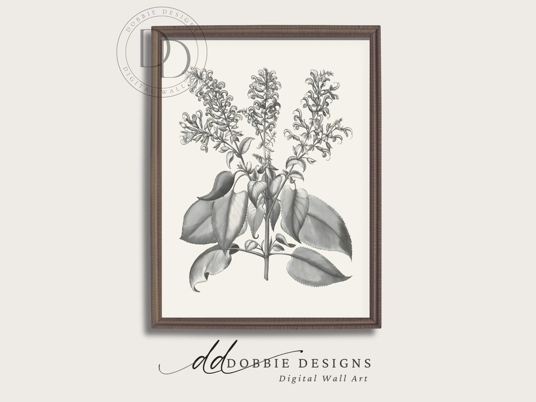 Vintage Botanical Print Black and White Flower Illustration Digital ...