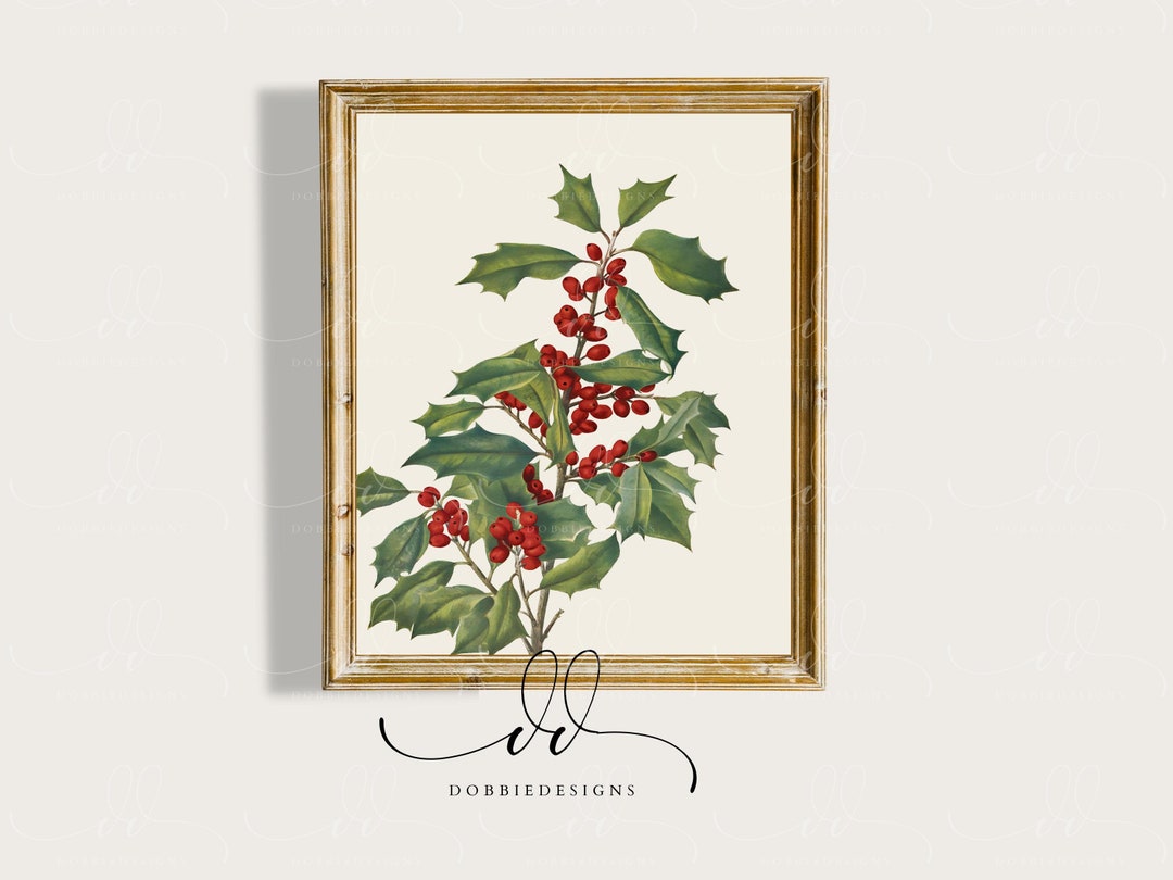 Vintage Christmas Holly Wall Art Holiday Botanical Illustration, Rustic ...