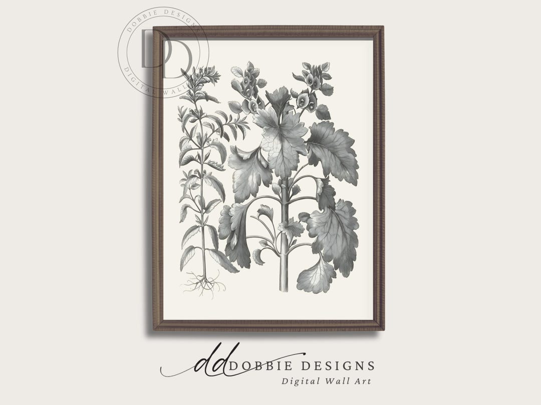 Vintage Botanical Print Black and White Flower Illustration Digital ...
