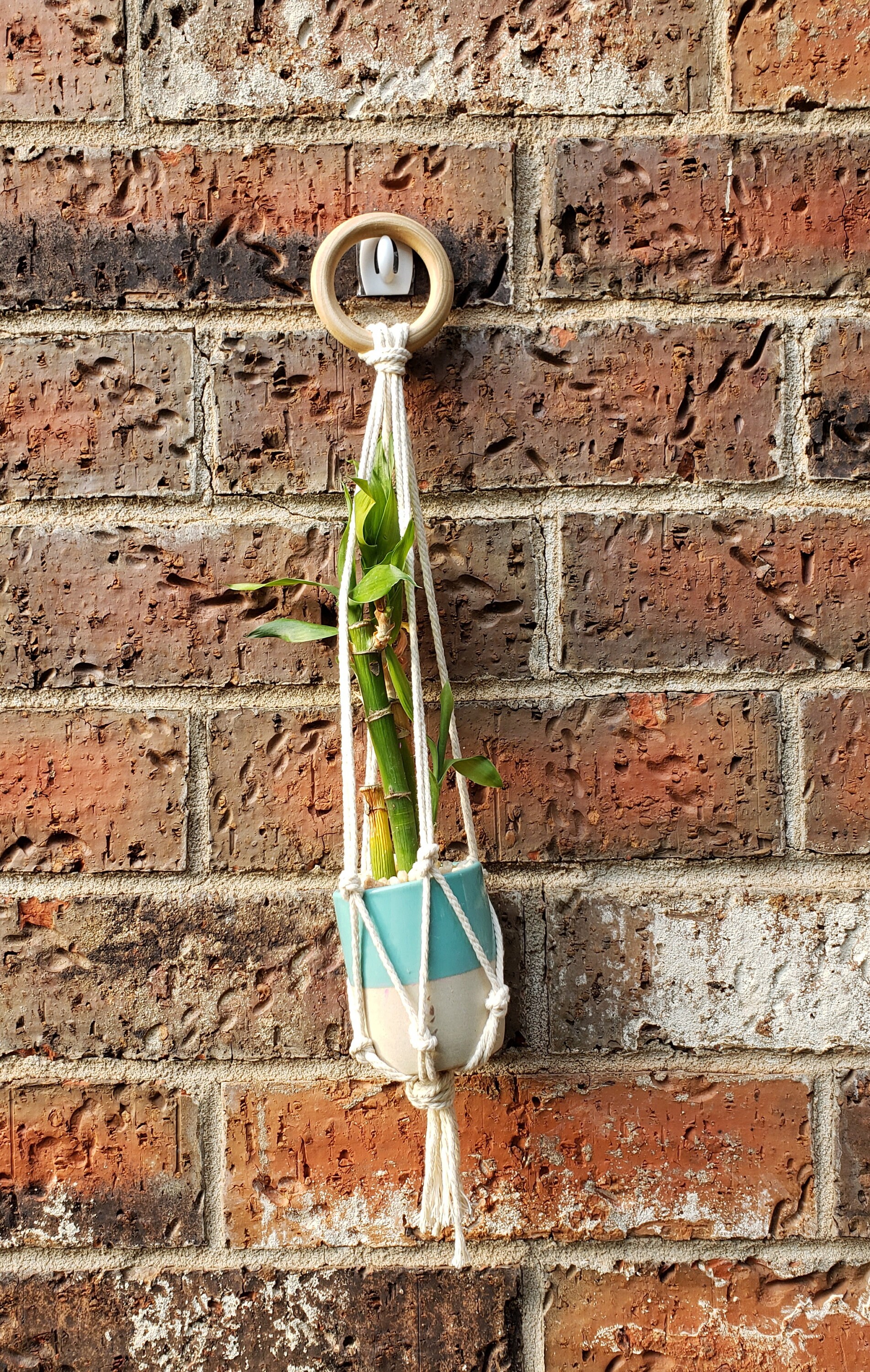 Mini Macrame Pot Holder, Handmade Macrame Hanger, Indoor Small Hanging ...