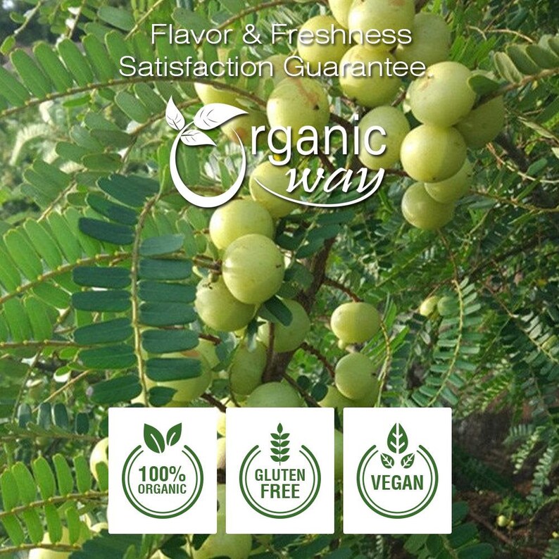 Organic Way Amla / Indian Gooseberry Cut & Sifted Organic - Etsy