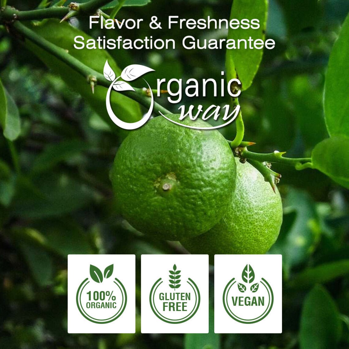 Organic Way Lemon Peel Powder - European Wild-harvest | Organic, Kosher ...