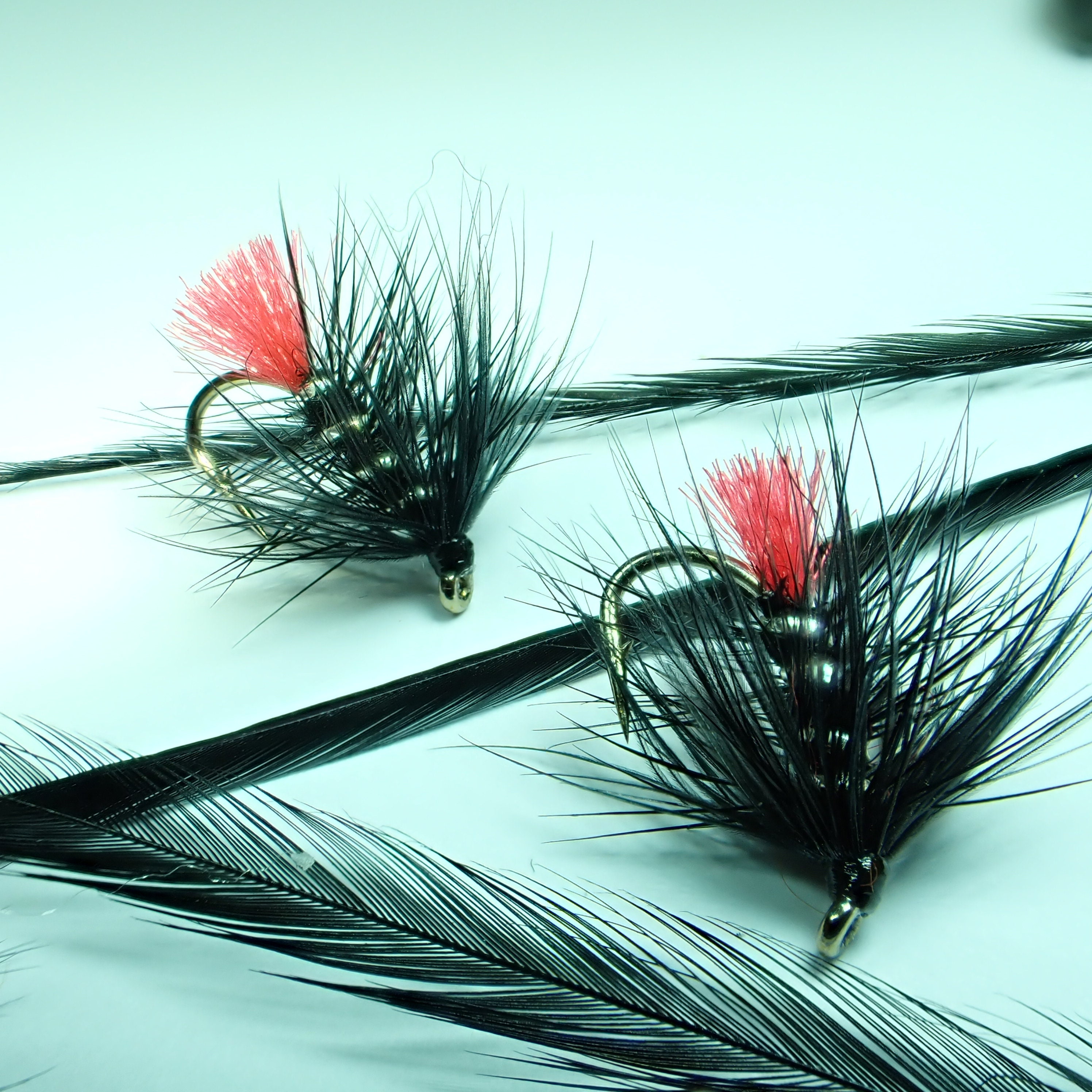 Zulu Crimson Fluo Tail Fishing Fly. Black, Soft Hackle Wet Fly, for ...