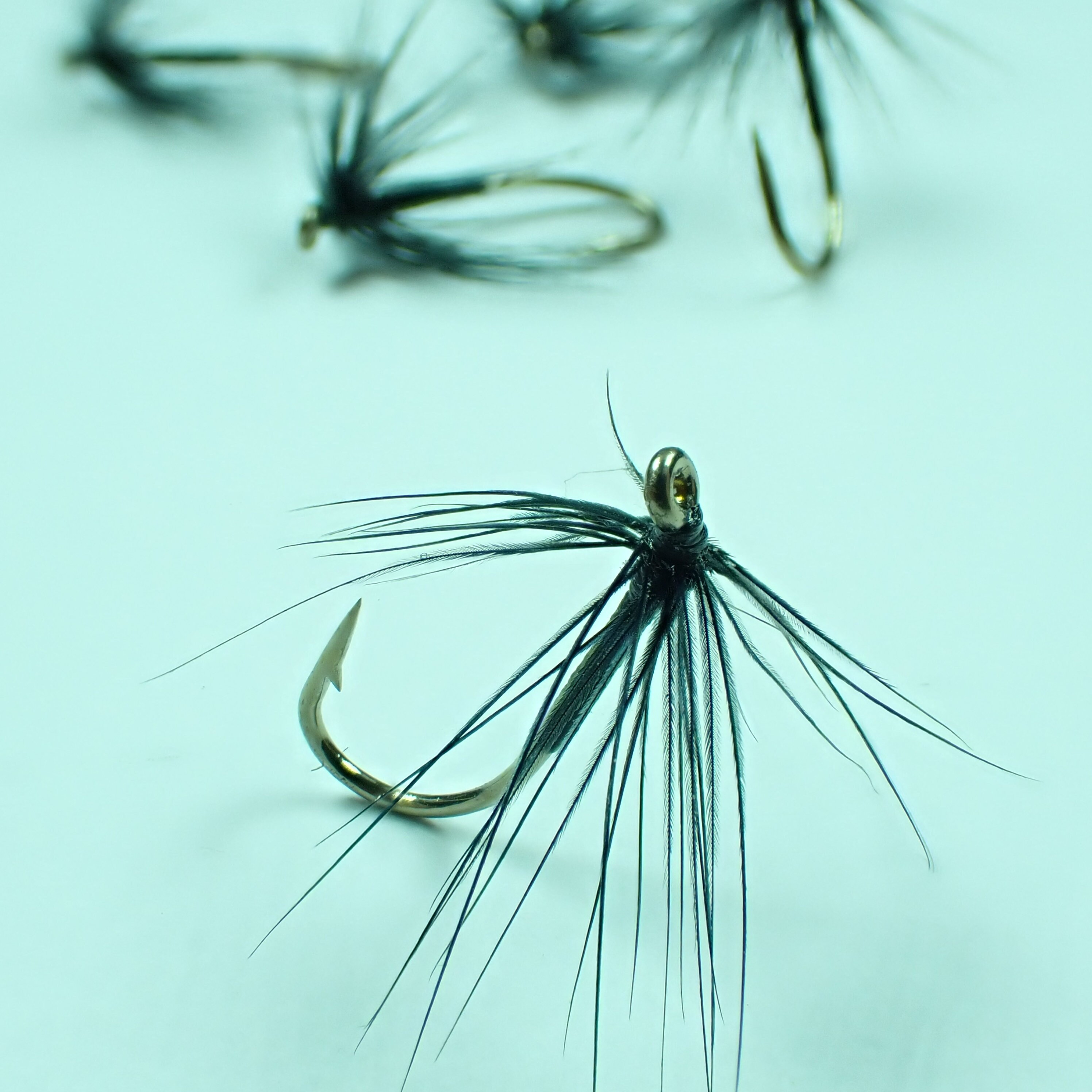 Black Spider Barbed North Country Spider Soft Hackle Fishing - Etsy