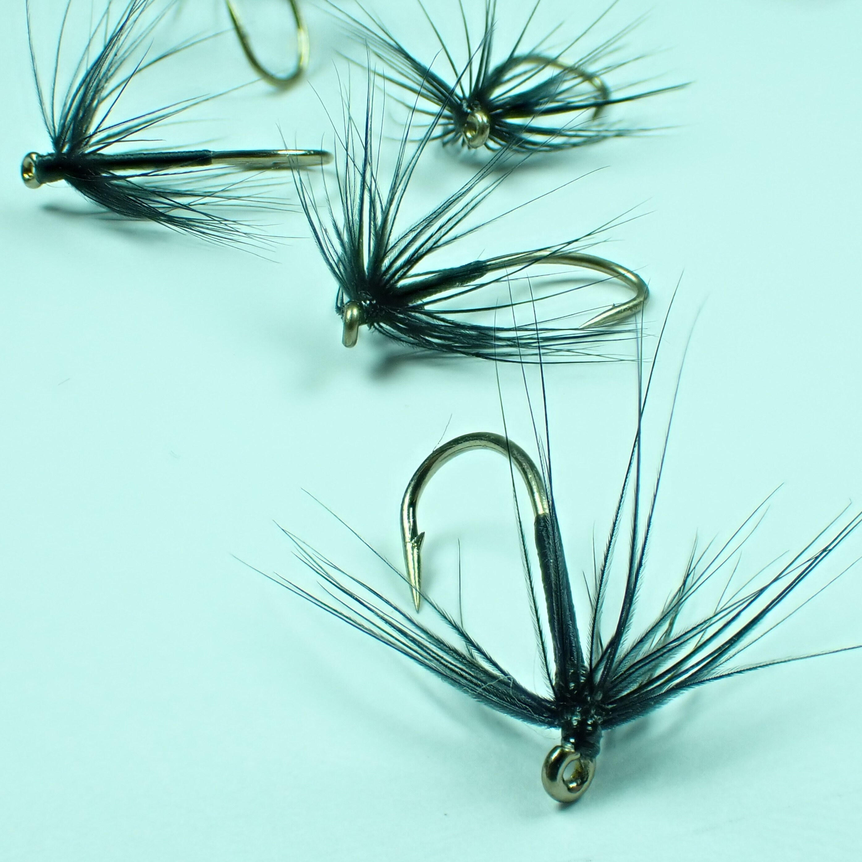 Black Spider Barbed North Country Spider Soft Hackle Fishing - Etsy