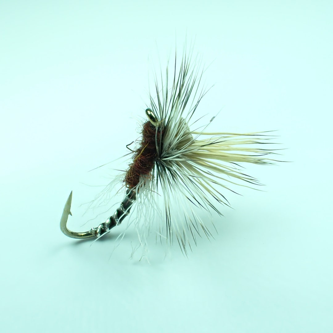 Mercers Missing Link Fishing Barbed Fly, a Good Imitation of Both ...