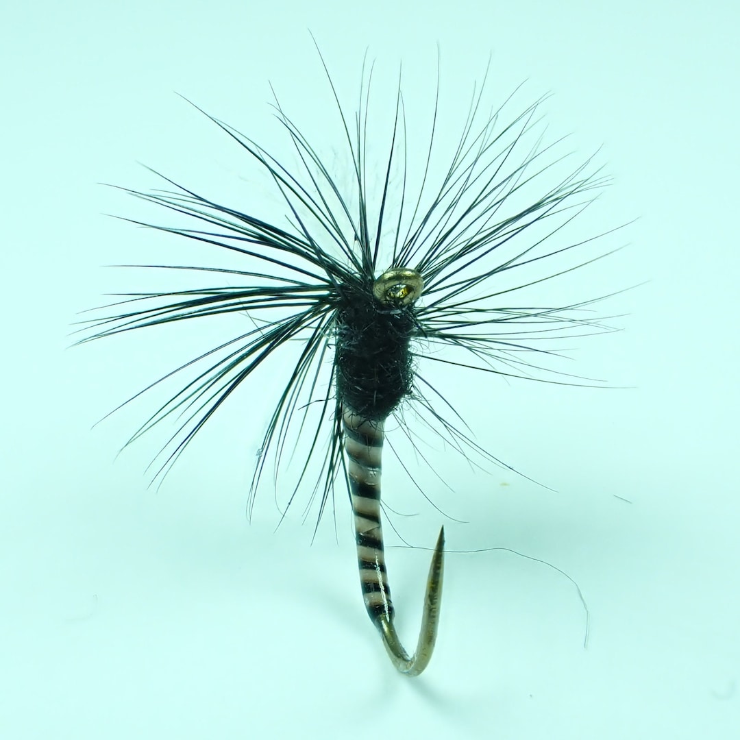 Natural Quill Emerger Barbed Fishing Fly. - Etsy