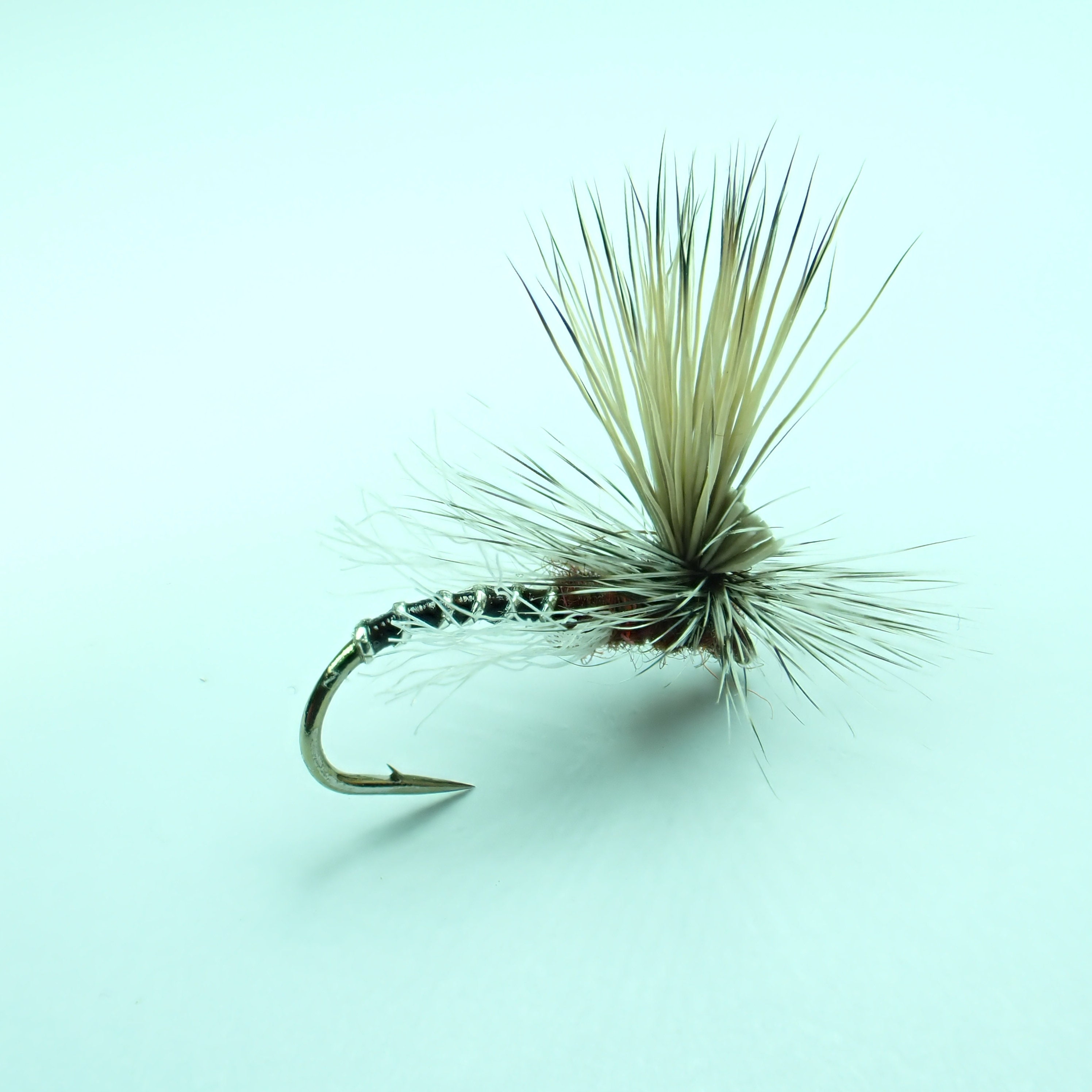 Mercers Missing Link Fishing Barbed Fly, a Good Imitation of Both ...