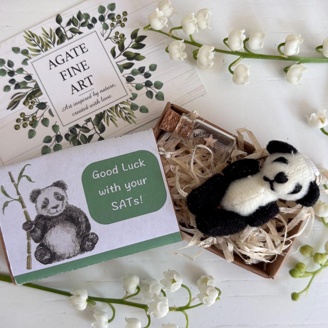 Good Luck With Your Sats, Pocket Sized Lucky Panda, Good Luck Charm ...